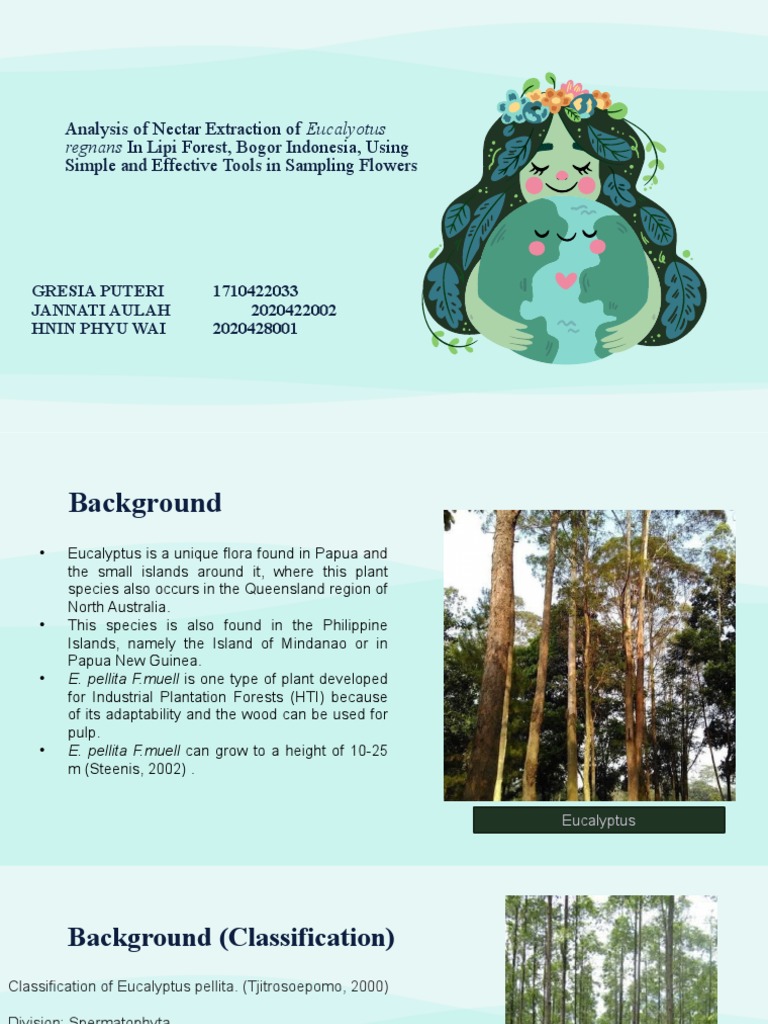 Analysis of Nectar Extraction of Eucalyotus Simple and Effective Tools ...