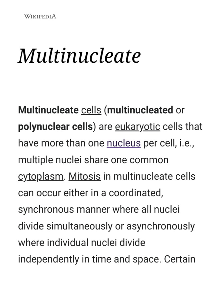 Multinucleate - Wikipedia | PDF | Cell Biology | Biology