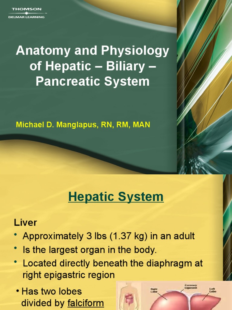 Anatomy and Physiology of Hepatic - Biliary - Pancreatic System | PDF ...