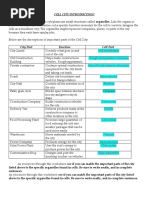 Cell City Worksheet Answer Key | PDF | Cell (Biology) | Cytoplasm