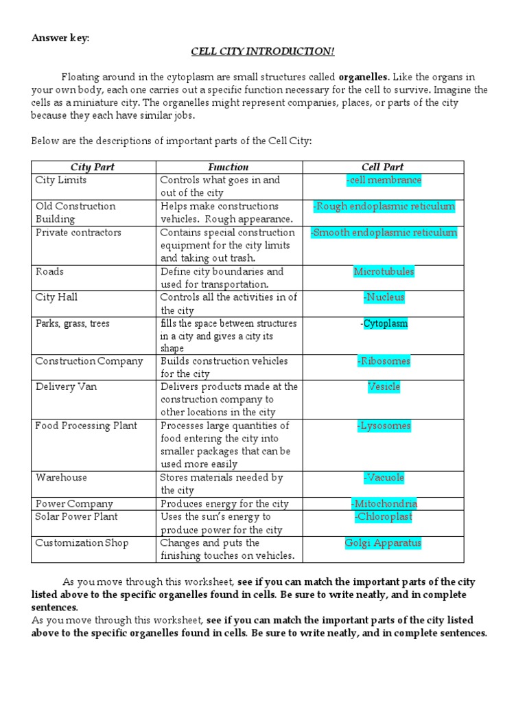 Cell City Analogy Worksheet