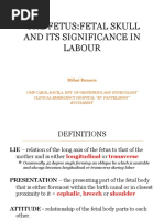 Fetal Skull and Its Significant in Labor | PDF | Skull | Primate Anatomy