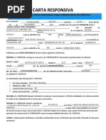 FORMATO V1J | PDF | Vehículos | Transporte