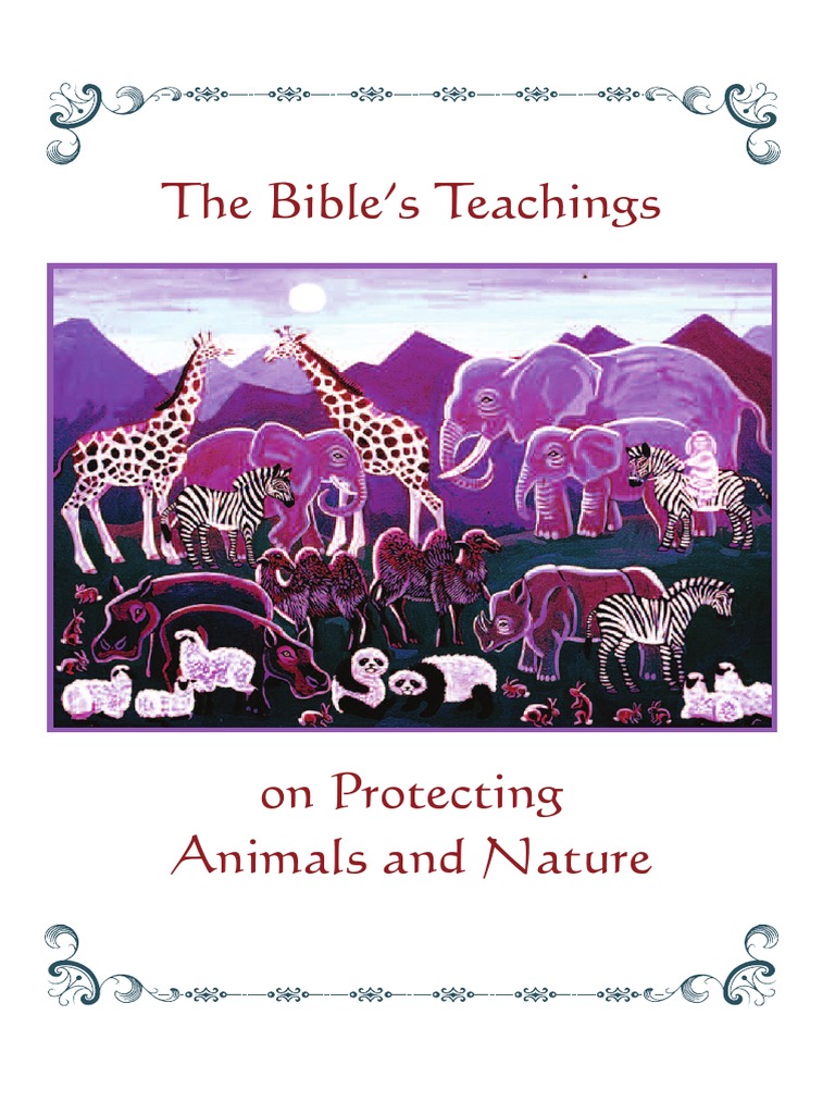 Replenish Booklet in Color PDF | PDF | Genesis Creation Narrative ...