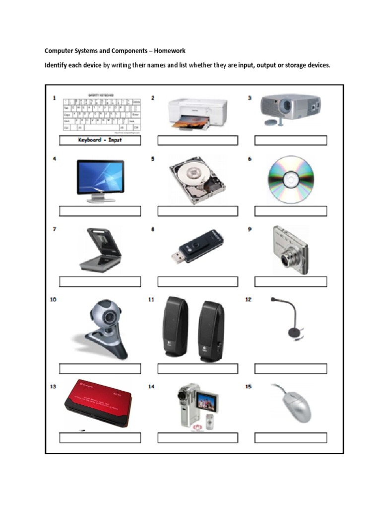 Input Devices Worksheet