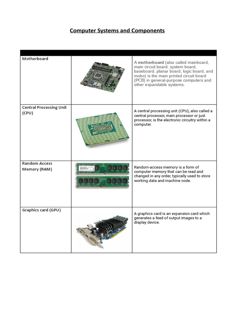 Computer Systems and Components Worksheet | PDF | Input/Output ...