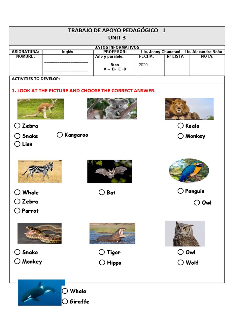 HOMEWORK N1 Wild Animals | PDF