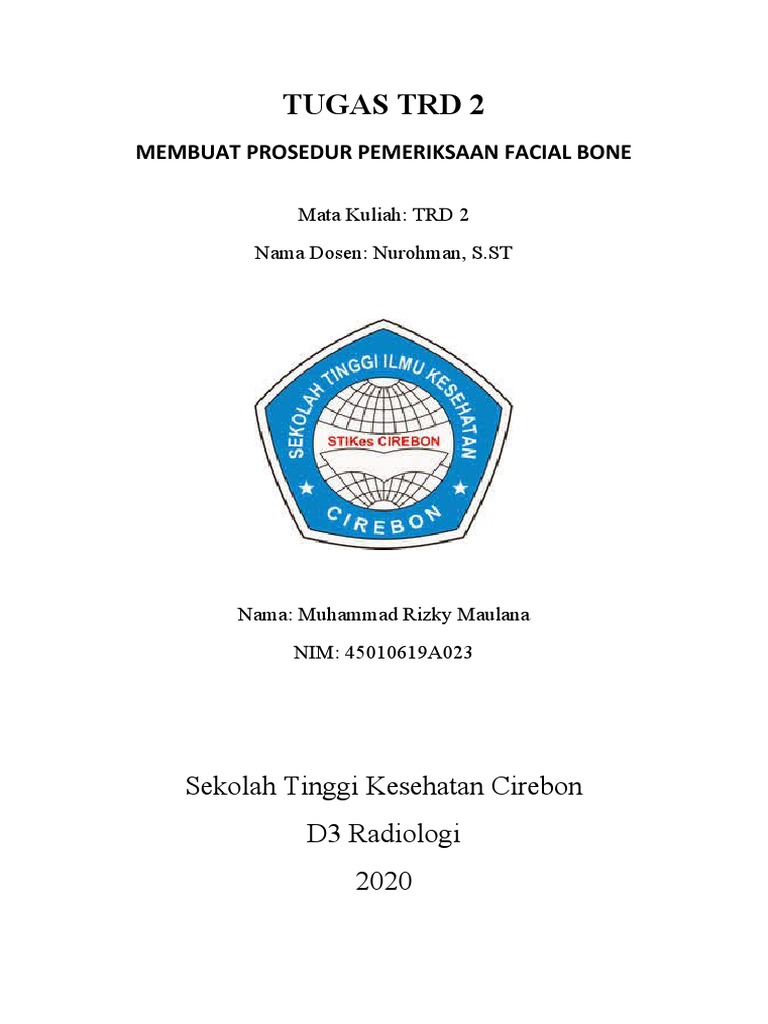 Tugas TRD 2 Facial Bones | PDF