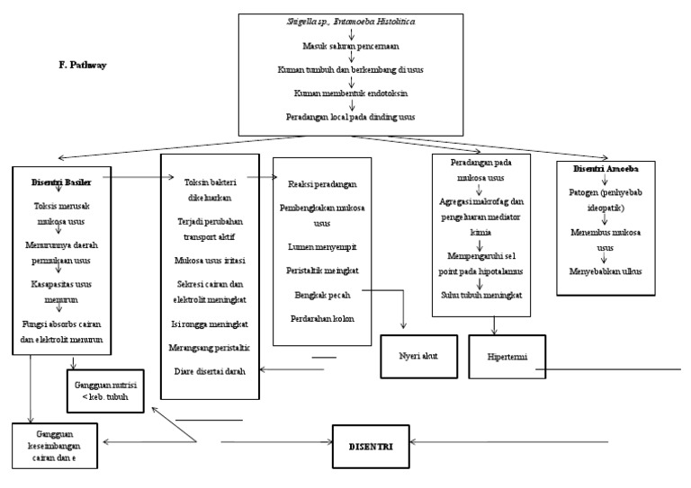Pathway Disentri | PDF