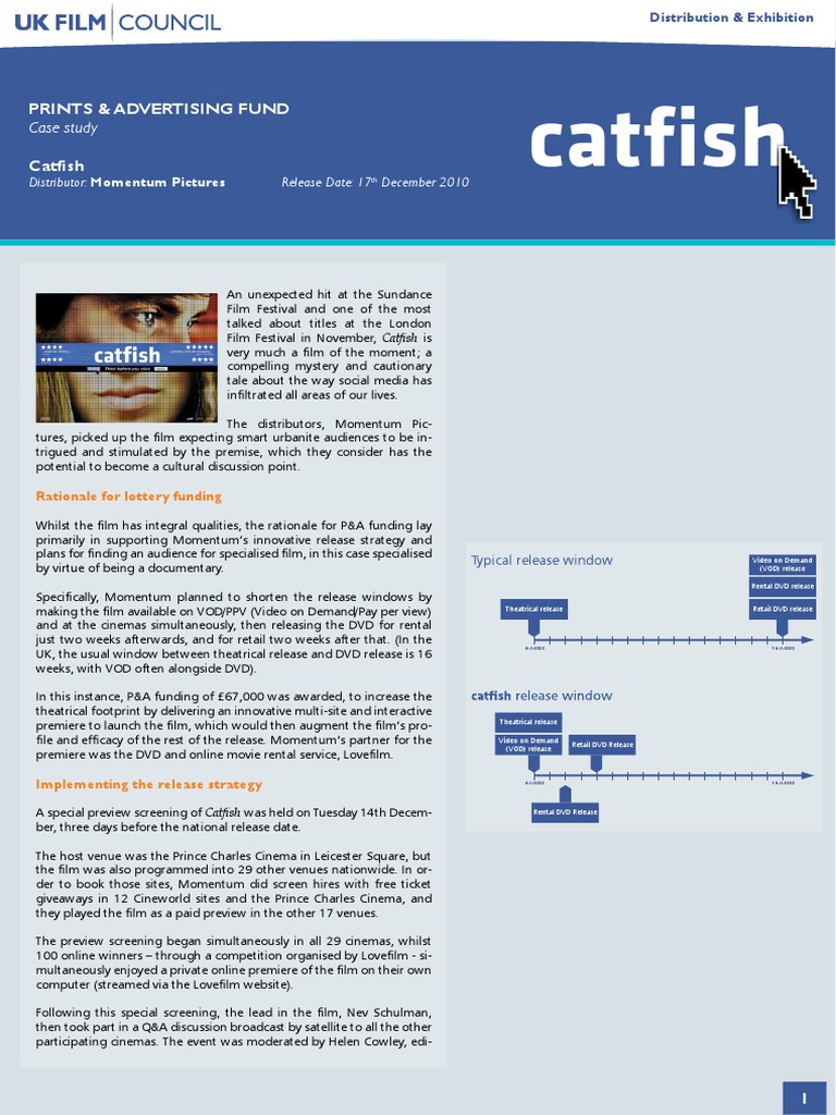 Catfish: Case Study | Download Free PDF | Video On Demand | Movie Theater