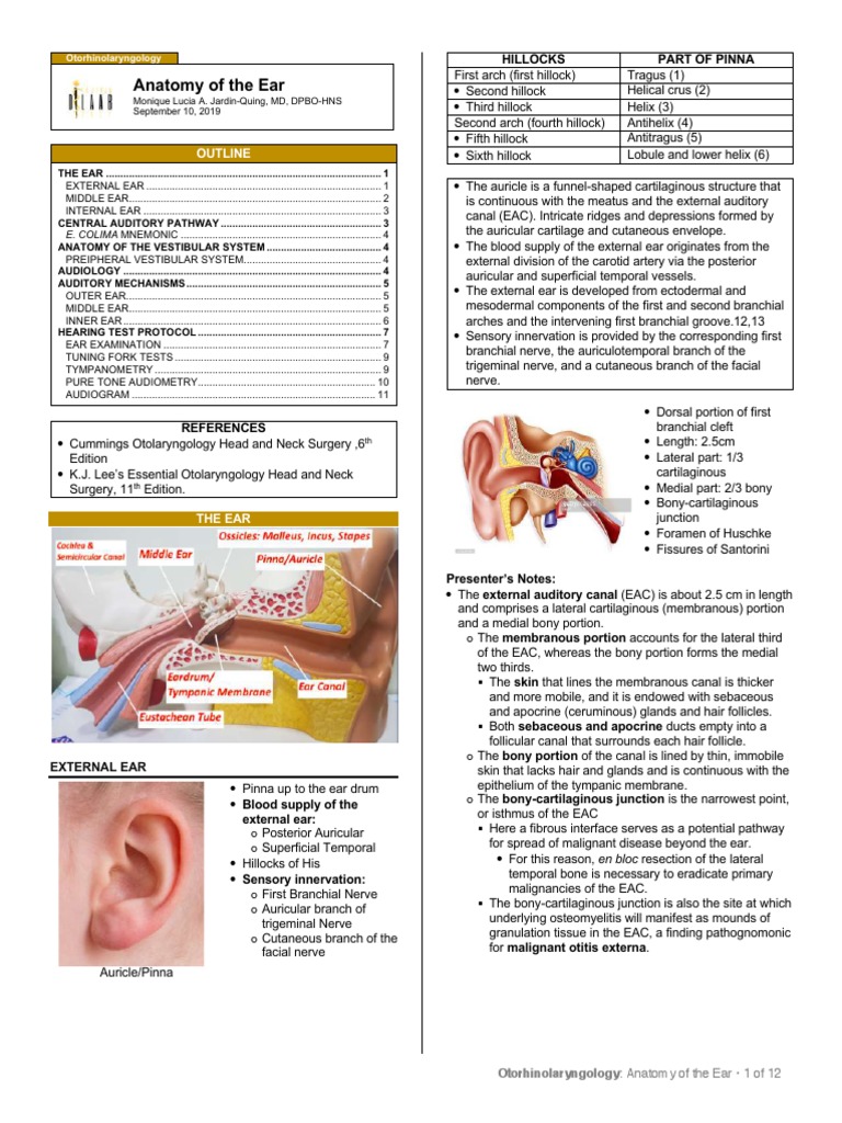 Anatomy of The Ear: Outline | PDF | Ear | Auditory System