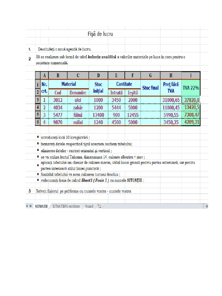 Fisa de Lucru Formatari Excel