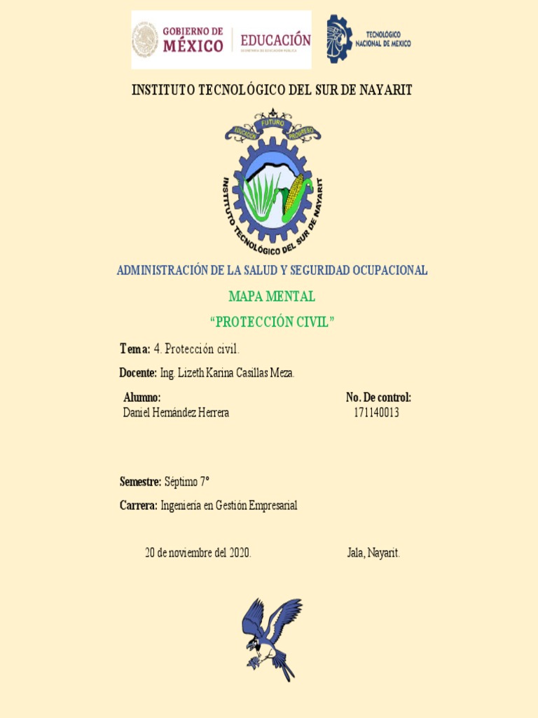 Mapa Mental T4 P | PDF | Defensa Civil | Política