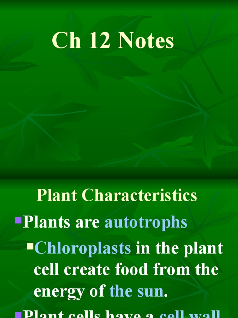 Plant Biology: A Comprehensive Overview of Plant Characteristics ...