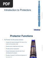 Quick Union Chart PDF | PDF | Nature
