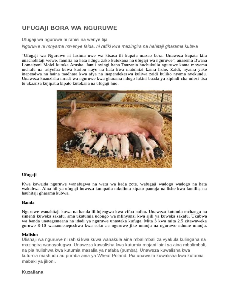 Nguruwe PDF | PDF