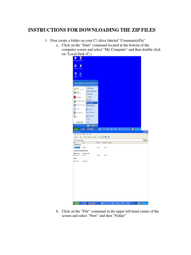 Instructions For Downloading The Zip Files | PDF