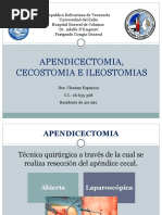 Incisión Rocky Davis | PDF | Medicina CLINICA | Anatomía