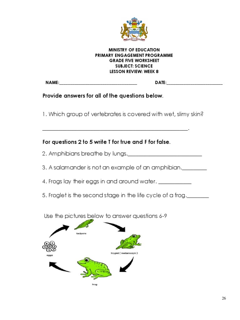Grade 5 Science Week 8 Review | PDF