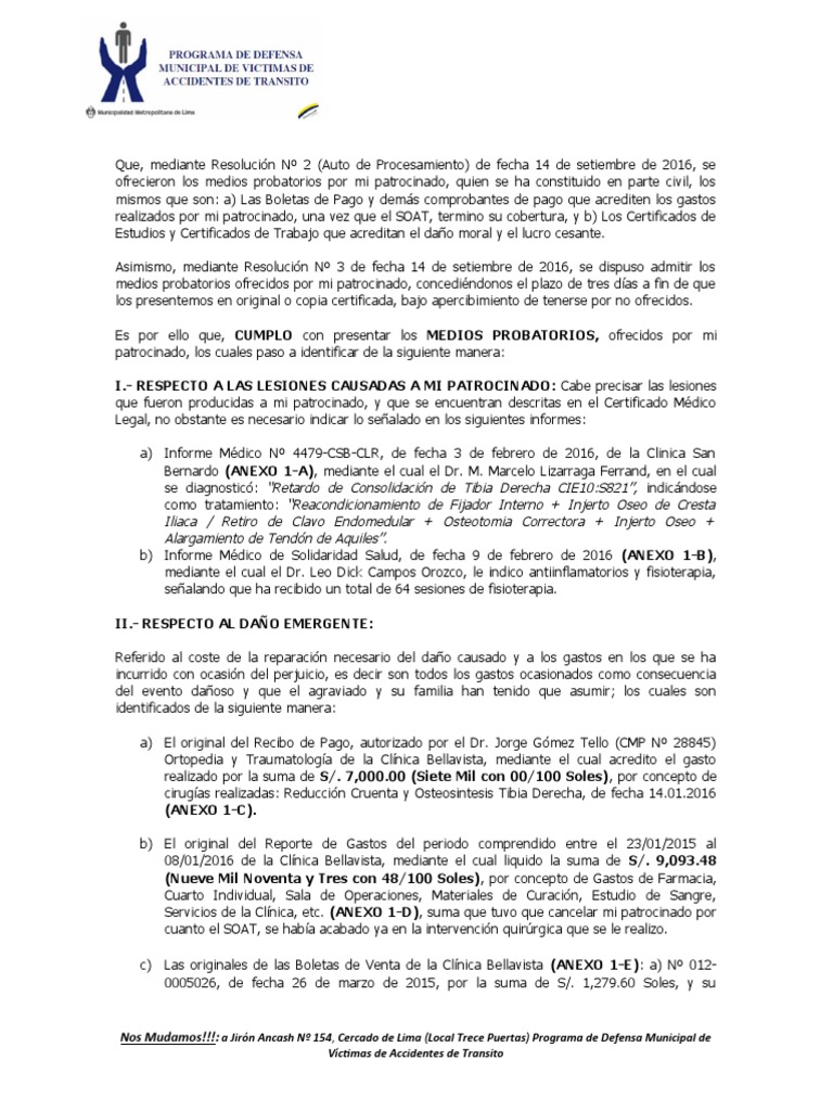 Ejemplos de Medios Probatorios | PDF