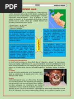 Mapa Conceptual de la Cultura Wari | PDF | Agricultura | Cultura (general)