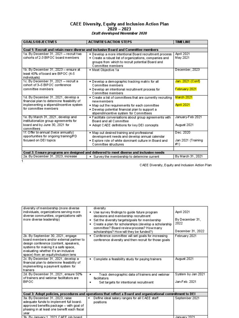 Caee Dei Action Plan 111120 | PDF | Recruitment | Economies
