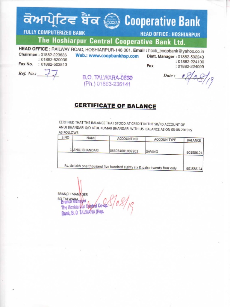 Anuj Balance Certificate | PDF