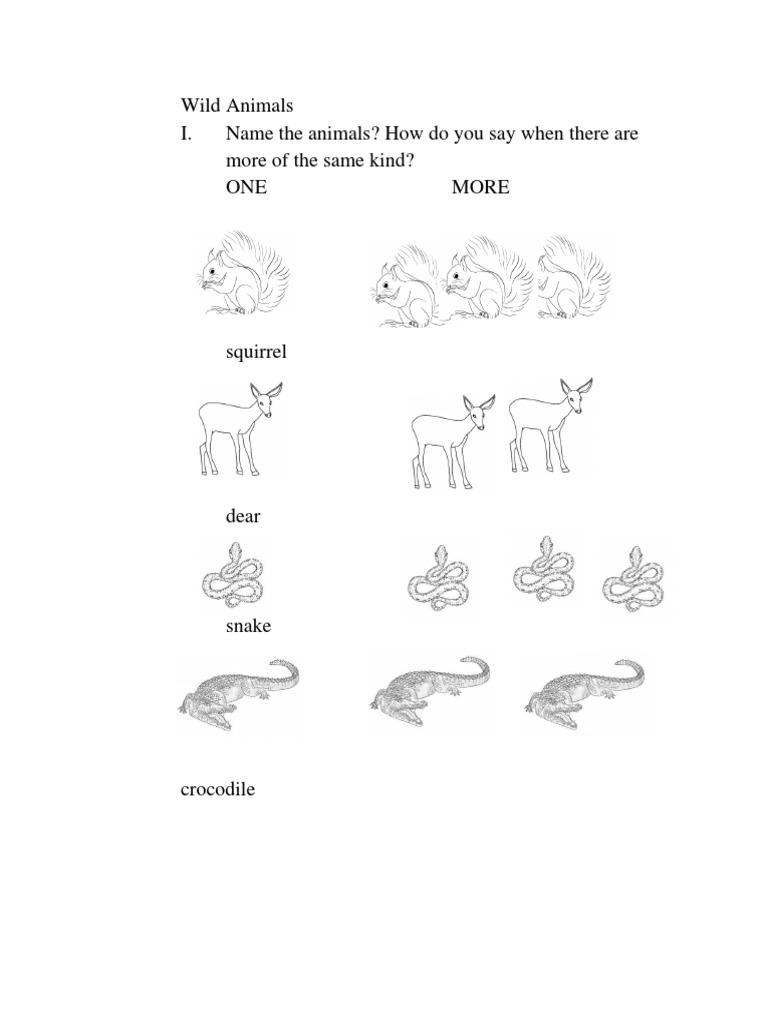 Handout Wild Animals | PDF