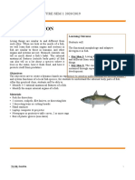 Fish Dissection Guide for Systems | PDF | Digestion | Fish