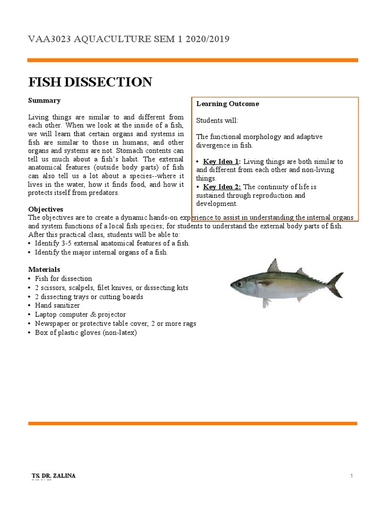 Practical 2 Sheet | PDF | Fish | Gill