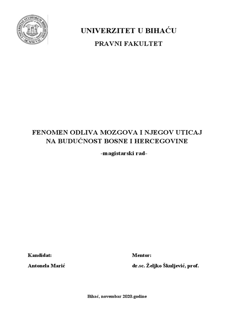 Master Teza - Fenomen Odliva Mozgova I Njegov Uticaj Na Budućnost Bosne I Hercegovine | PDF