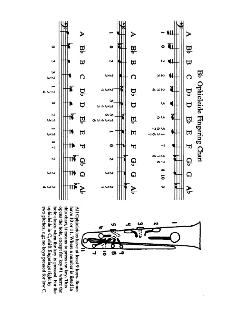 Digitação Oficleide | PDF