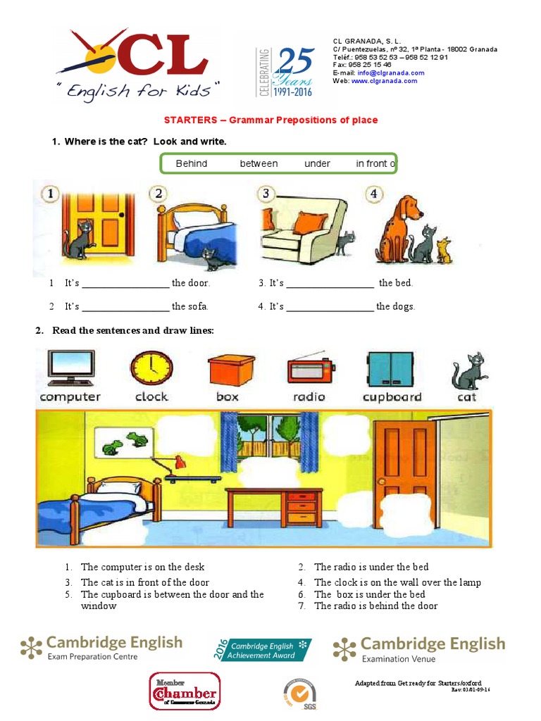 Where Is The Cat? Look and Write.: STARTERS - Grammar Prepositions of ...