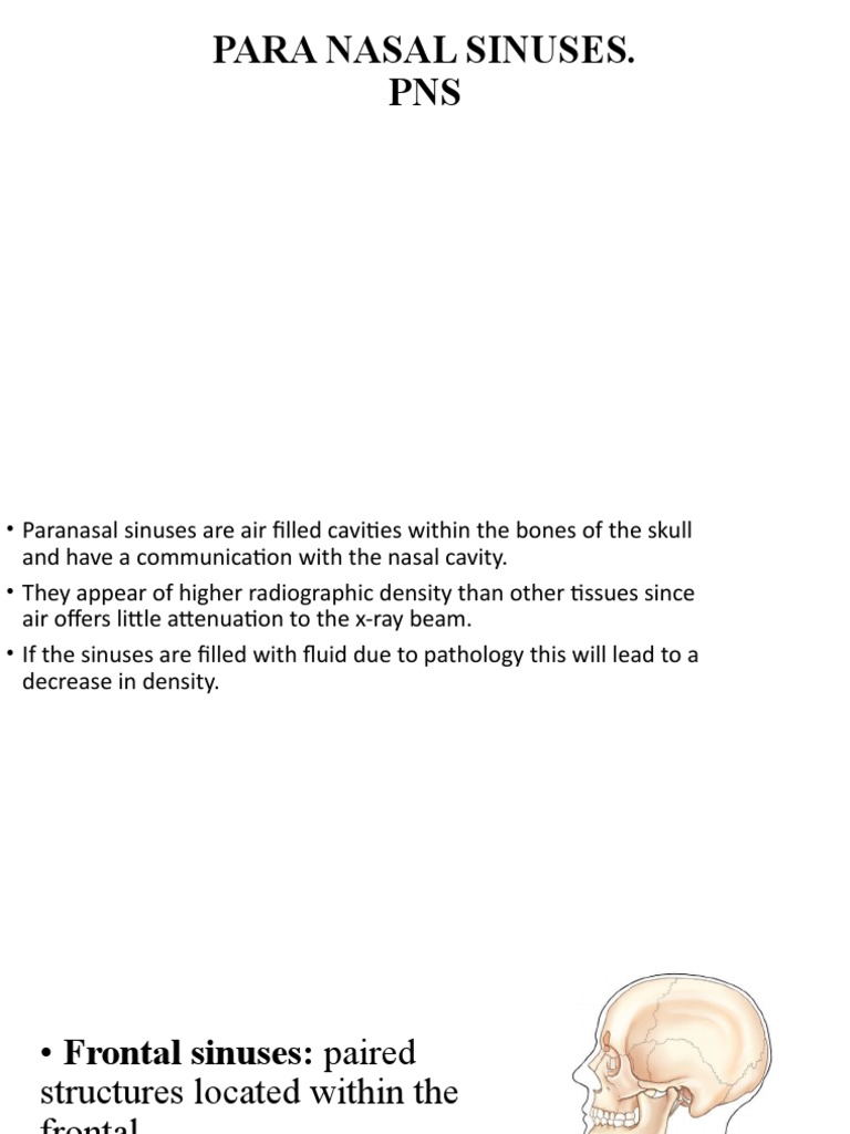 Paranasal Sinuses X-Ray Positioning Guide | PDF | Radiography | Human ...