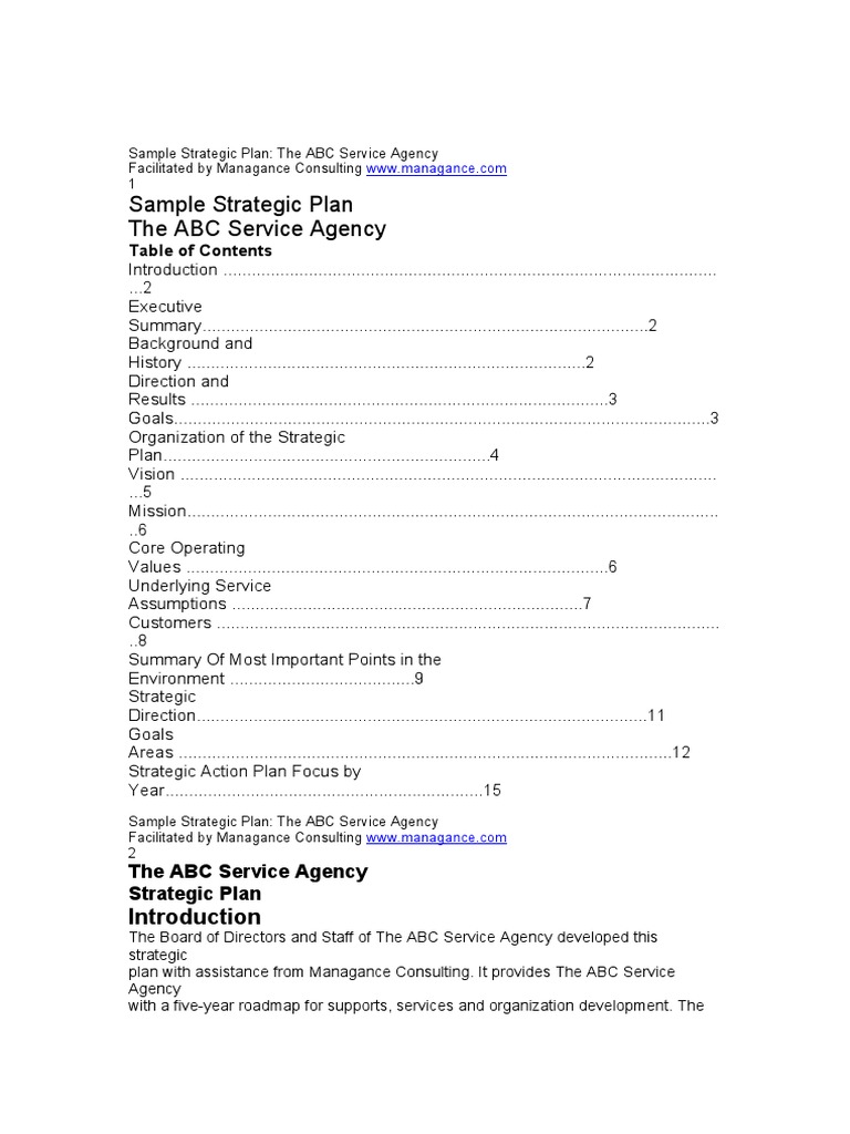 Sample Strategic Plan The ABC Service Agency | PDF | Cognition | Disability