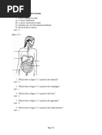Circulatory System Questions | PDF | Heart | Blood