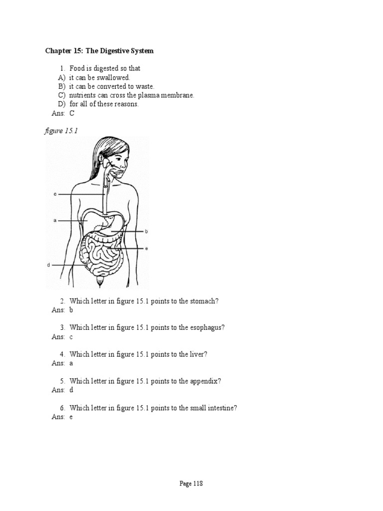 Digestion 1 MCQ | PDF | Digestion | Human Digestive System