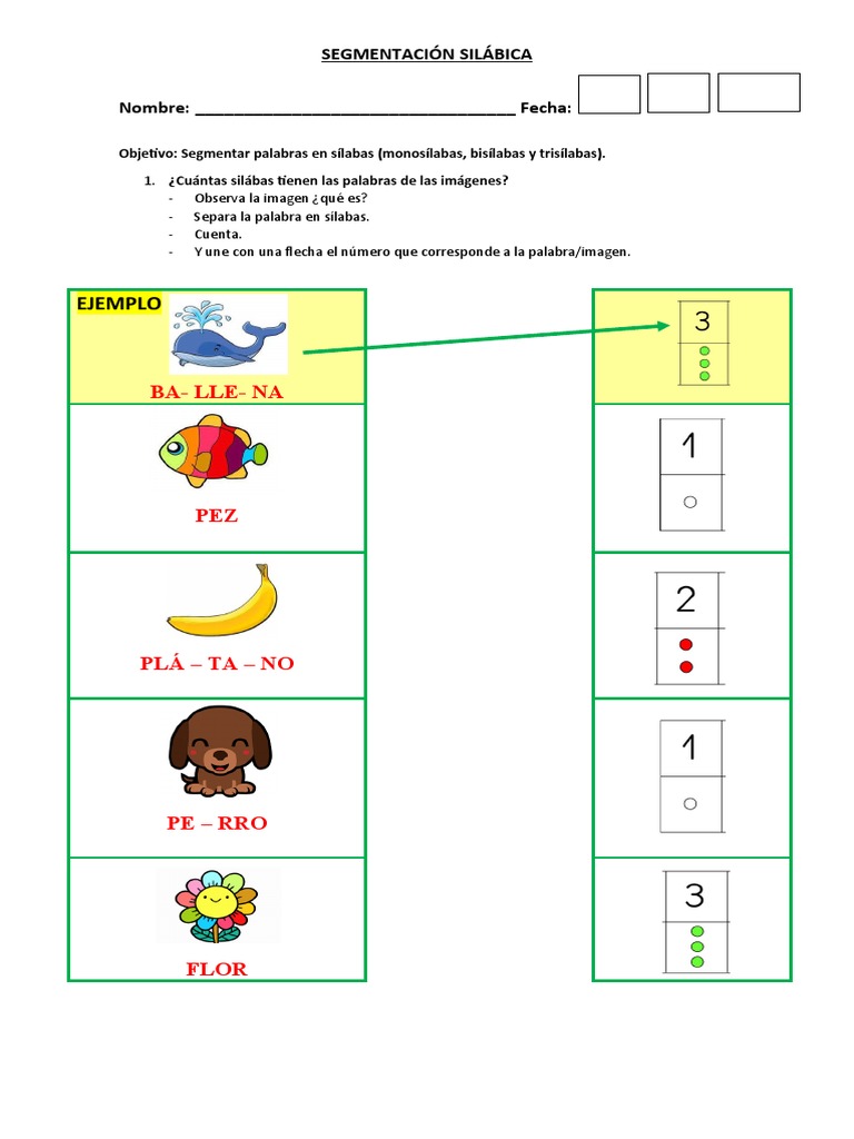Segmentación Mon - Bis.tris | PDF