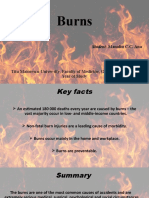 Wallace Rule of Nines for Burn Assessment | PDF | Burn | Intravenous ...