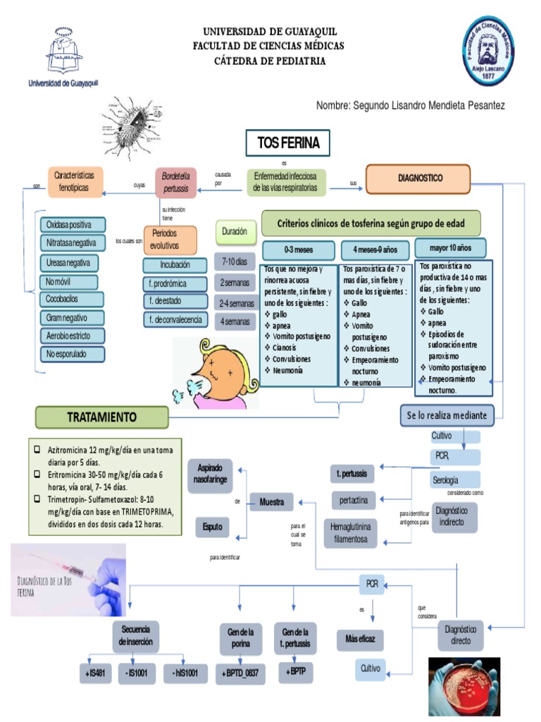 Cuadro de Tos Ferina | PDF | Enfermedades y trastornos | Salud pública