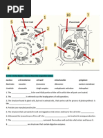 Cell Parts Functions Worksheet | PDF | Cell Nucleus | Cell (Biology)