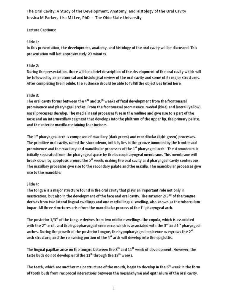 An In-Depth Exploration of the Development, Anatomy, and Histology of ...