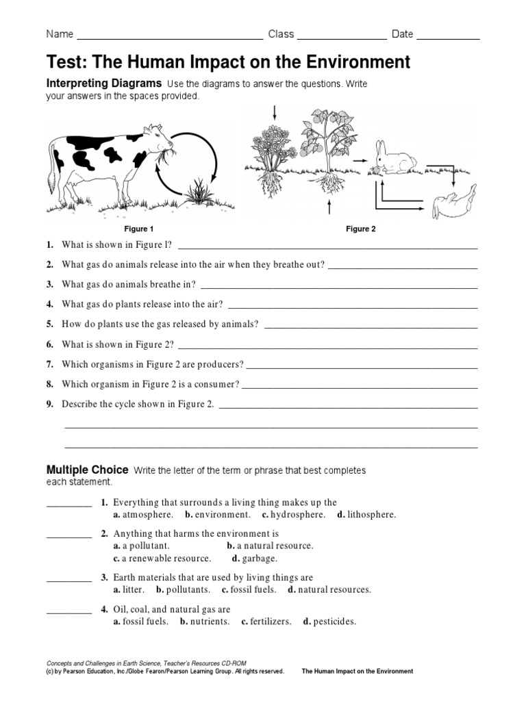 The Human Impact On The Environment: Interpreting Diagrams | PDF ...