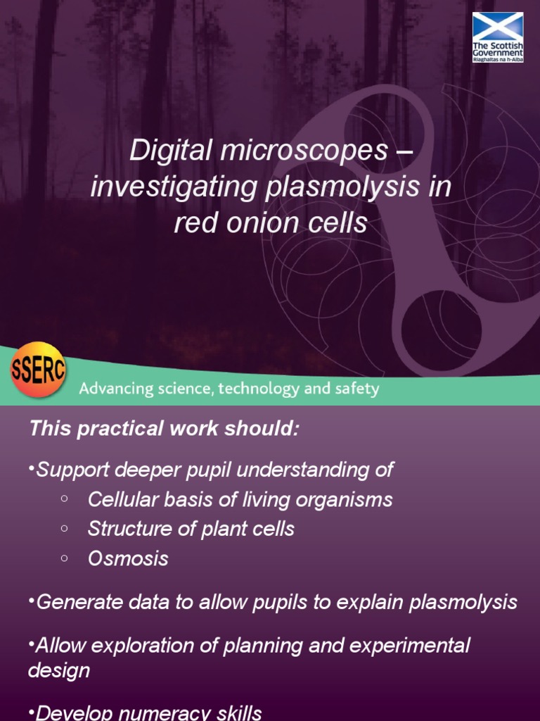 Digital Microscopes Investigating Plasmolysis In Red Onion Cells Pdf
