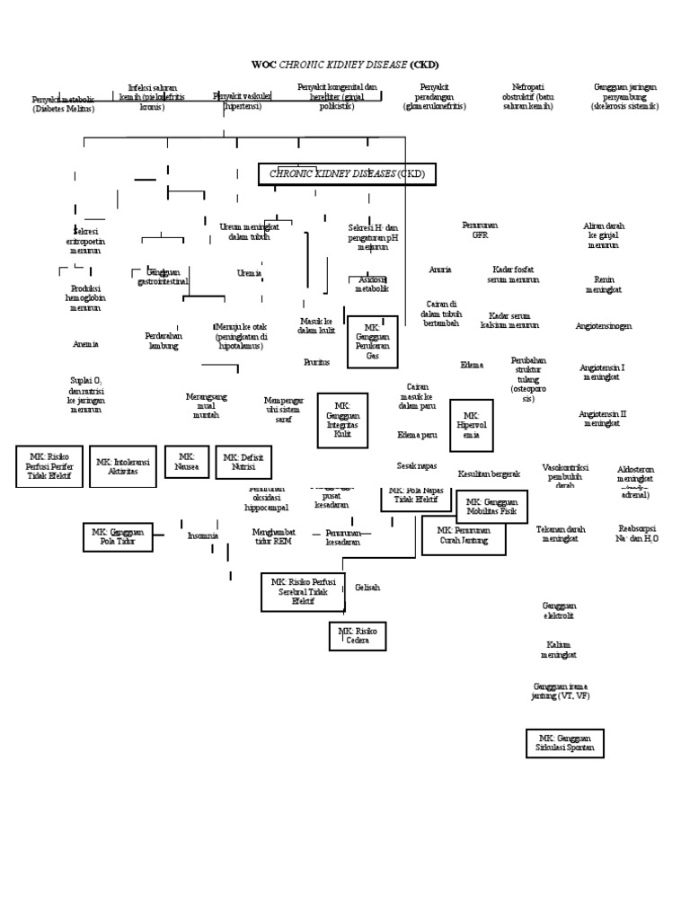 WOC CKD Revisiiii Berkali-Kalii | PDF
