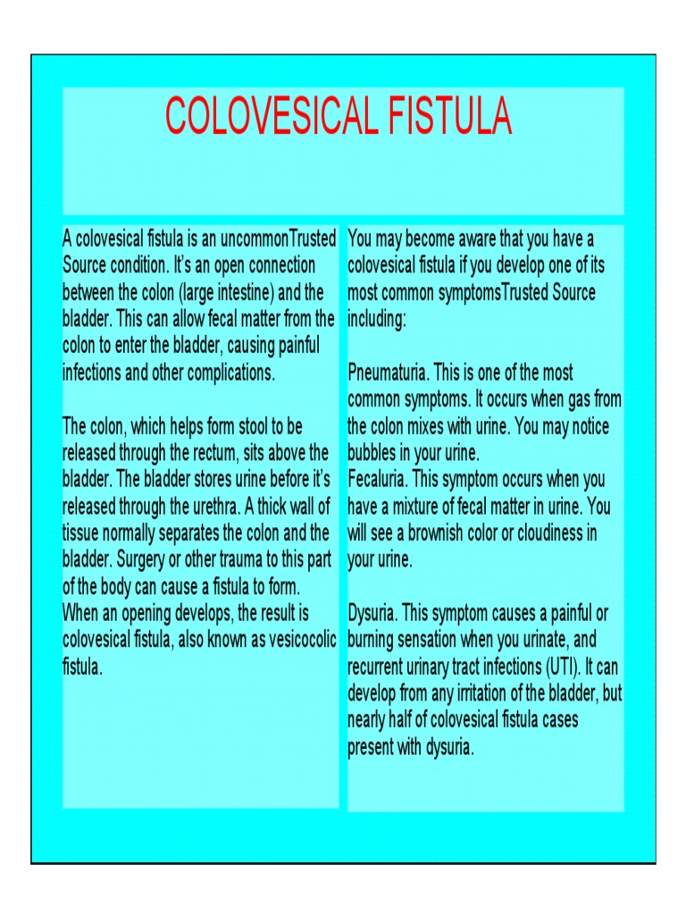 Colovesical Fistula Part 1 | PDF | Urinary Bladder | Large Intestine