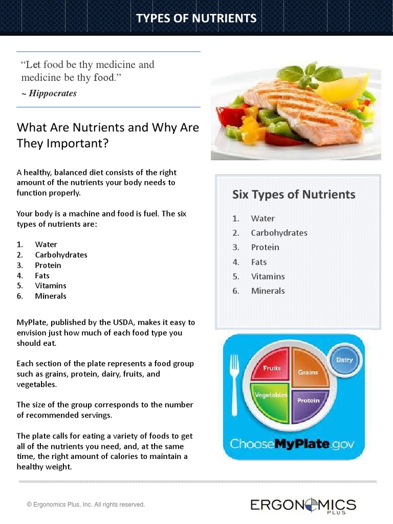Types of Nutrients PDF | PDF | Fat | Nutrients