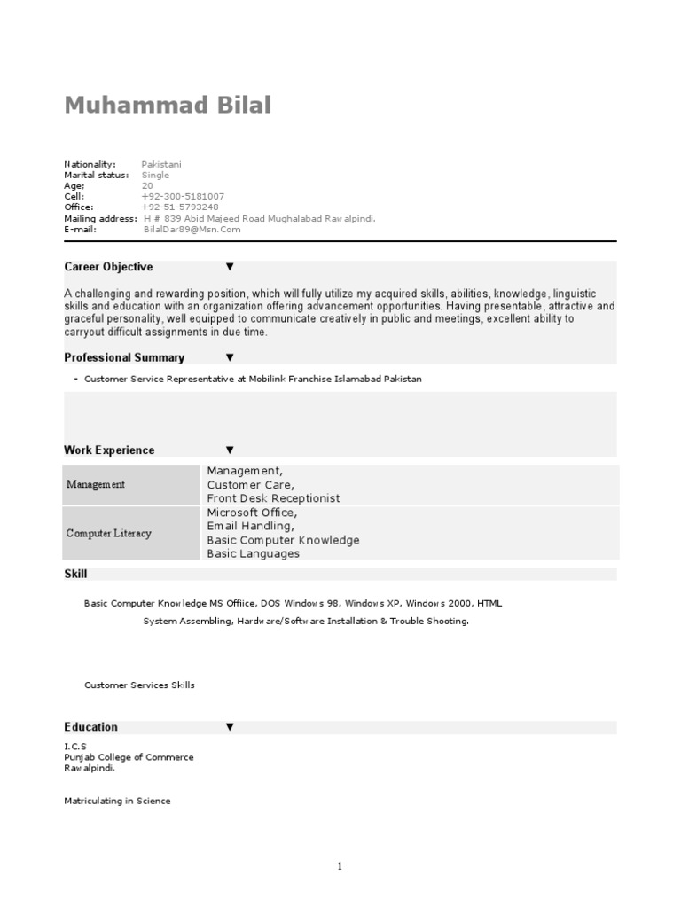 Muhammad Bilal's Professional Profile | PDF