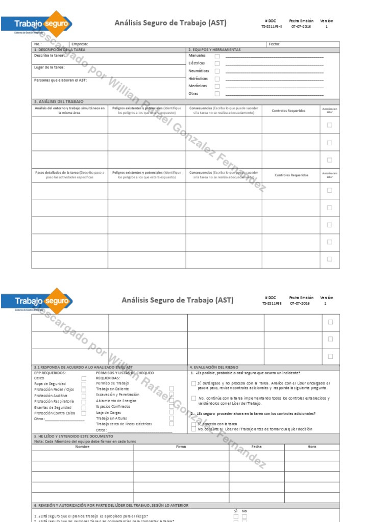 Formato AST 3 Hojas V1 TS-SS11F3E | PDF | Business