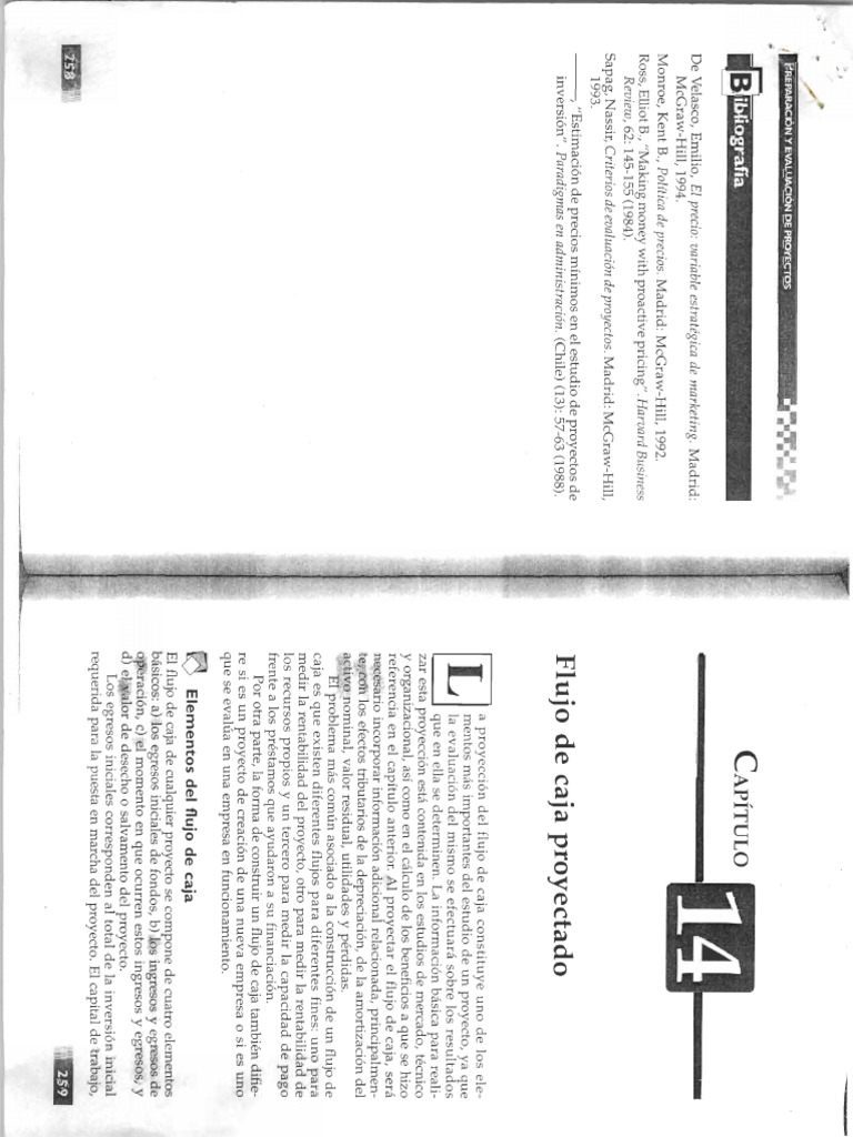 CAP 14 Flujo de Caja Proyectado PDF | PDF
